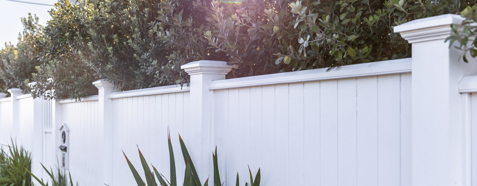 Premium Fencing Systems | South Pacific Timber