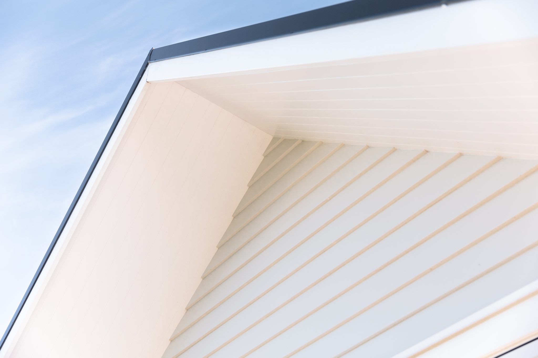 Understanding Timber Treatment Level | South Pacific Timber